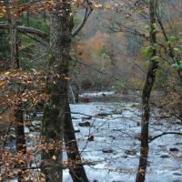 Writing – Ross T Lucas